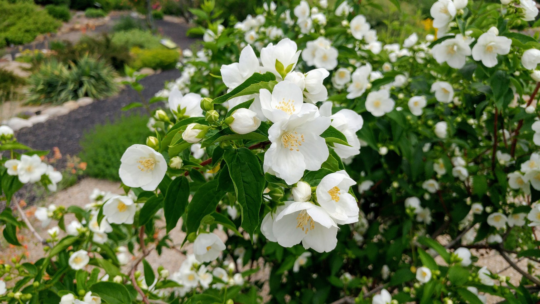 Home - Idaho Firewise